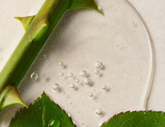 Shaping the future of beauty with green sciences I Lancôme